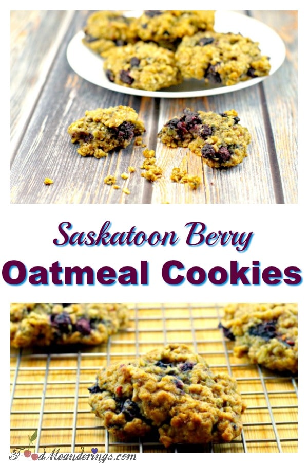 Saskatoon Berry Oatmeal Cookies - Food Meanderings