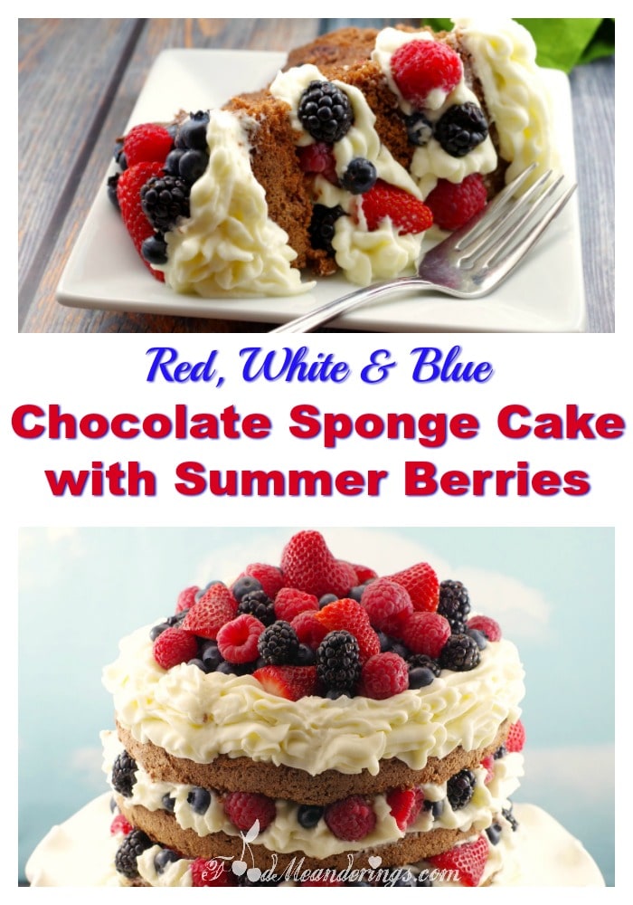 Chocolate Genoise Sponge Cake (Italian) - Food Meanderings