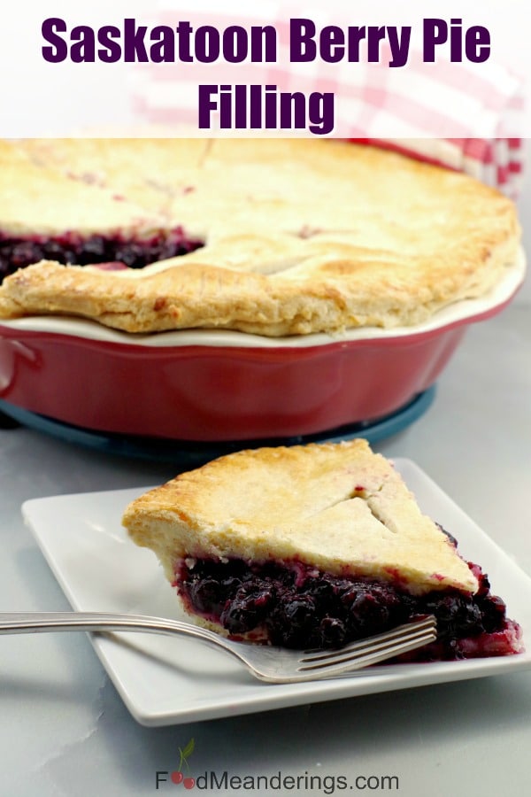 Saskatoon Berry Pie (Filling and Sauce) - Food Meanderings
