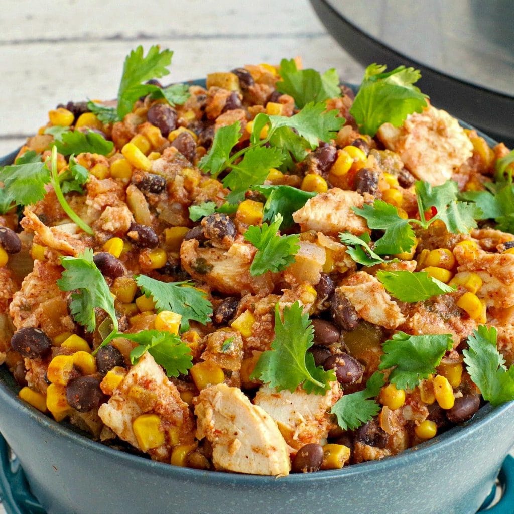 Slow Cooker Mexican Chicken (Weight Watchers)- Food Meanderings