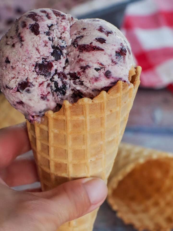 Butter Tart Ice Cream (no churn) - Food Meanderings