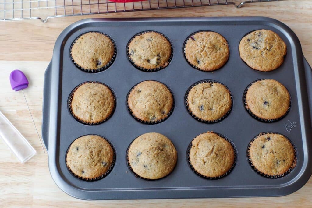 Saskatoon Berry Bliss Muffins - Food Meanderings