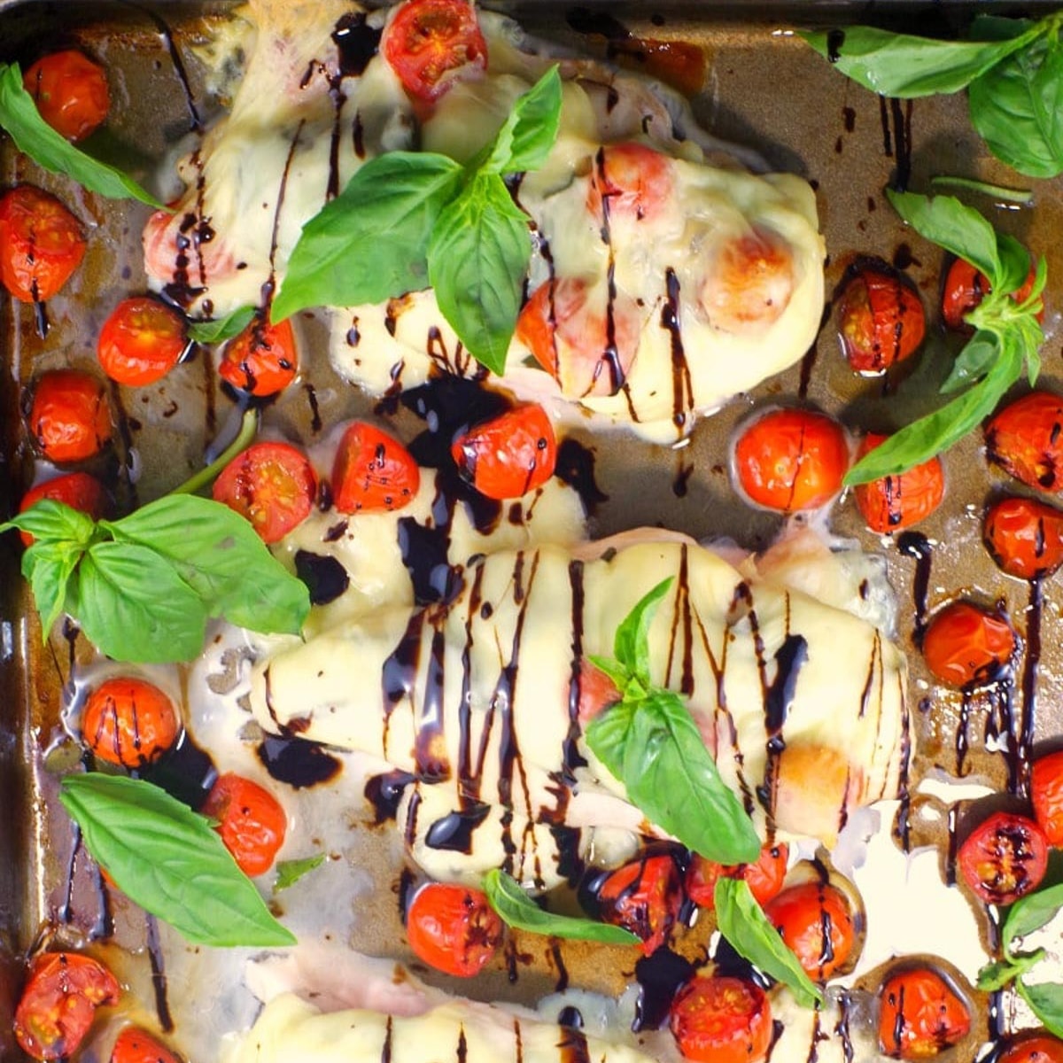 5 Ingredient Sheet Pan Chicken Caprese - Food Meanderings