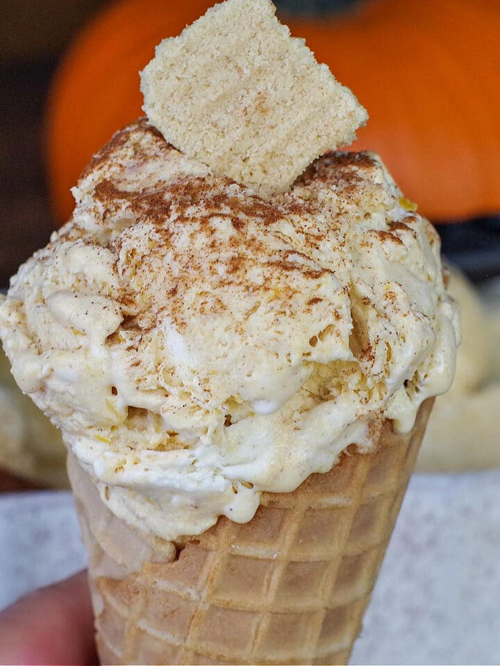 Butter Tart Ice Cream (no churn) - Food Meanderings