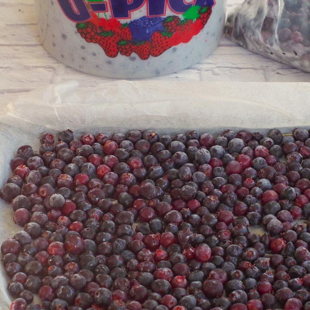 How to freeze Saskatoon berries - Food Meanderings