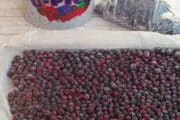 How to freeze Saskatoon berries - Food Meanderings