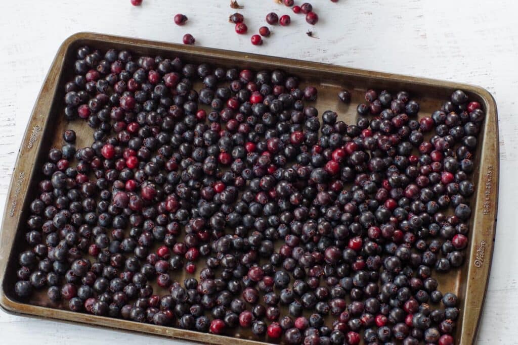 How to freeze Saskatoon berries - Food Meanderings