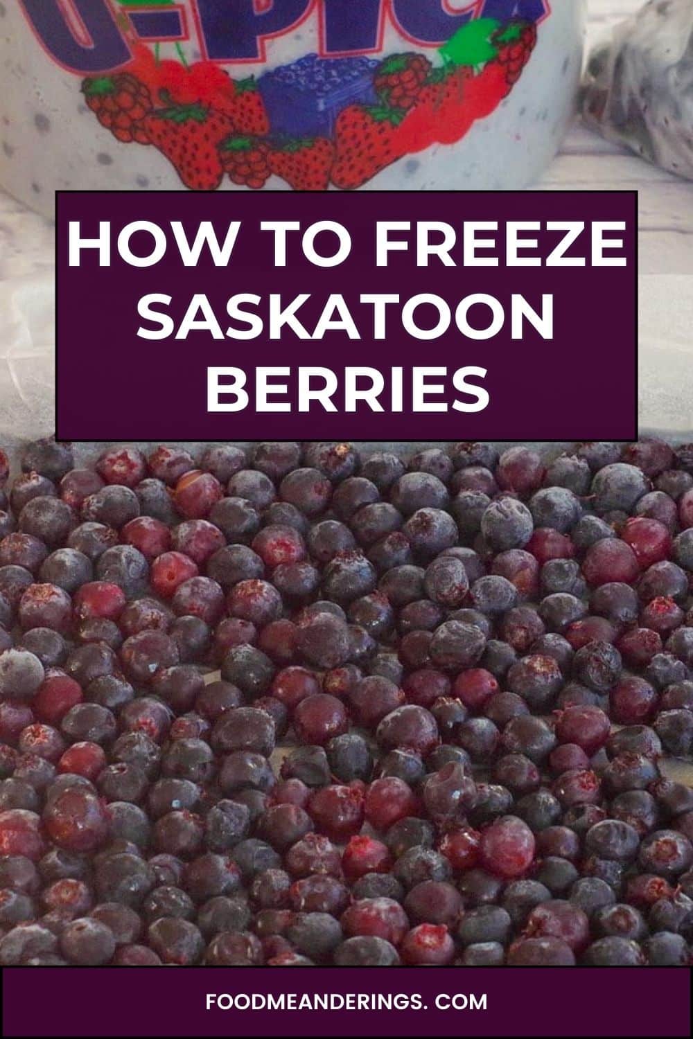 How to freeze Saskatoon berries - Food Meanderings