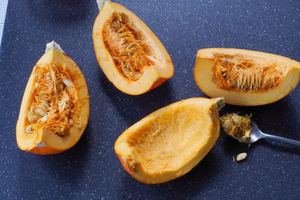 Coconut Pumpkin Chicken - Food Meanderings