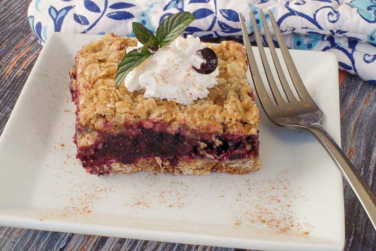 Saskatoon Berry Squares - Food Meanderings