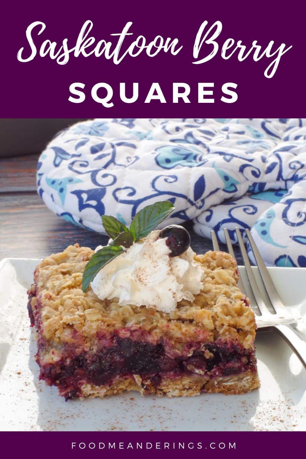 Saskatoon Berry Squares - Food Meanderings