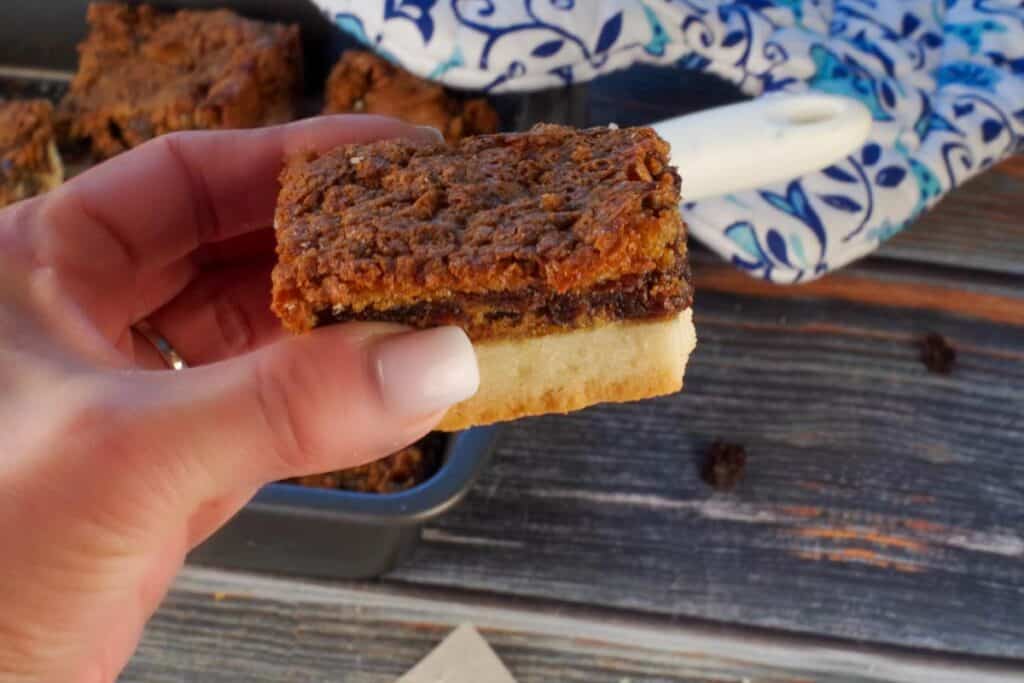 Butter Tart Slice - Food Meanderings