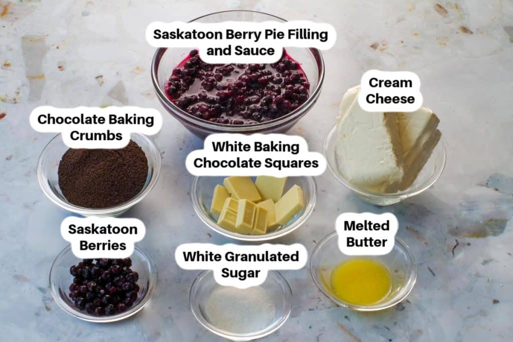 No Bake Saskatoon Berry Cheesecake - Food Meanderings