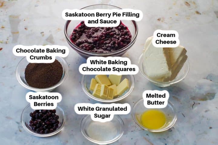 No Bake Saskatoon Berry Cheesecake - Food Meanderings