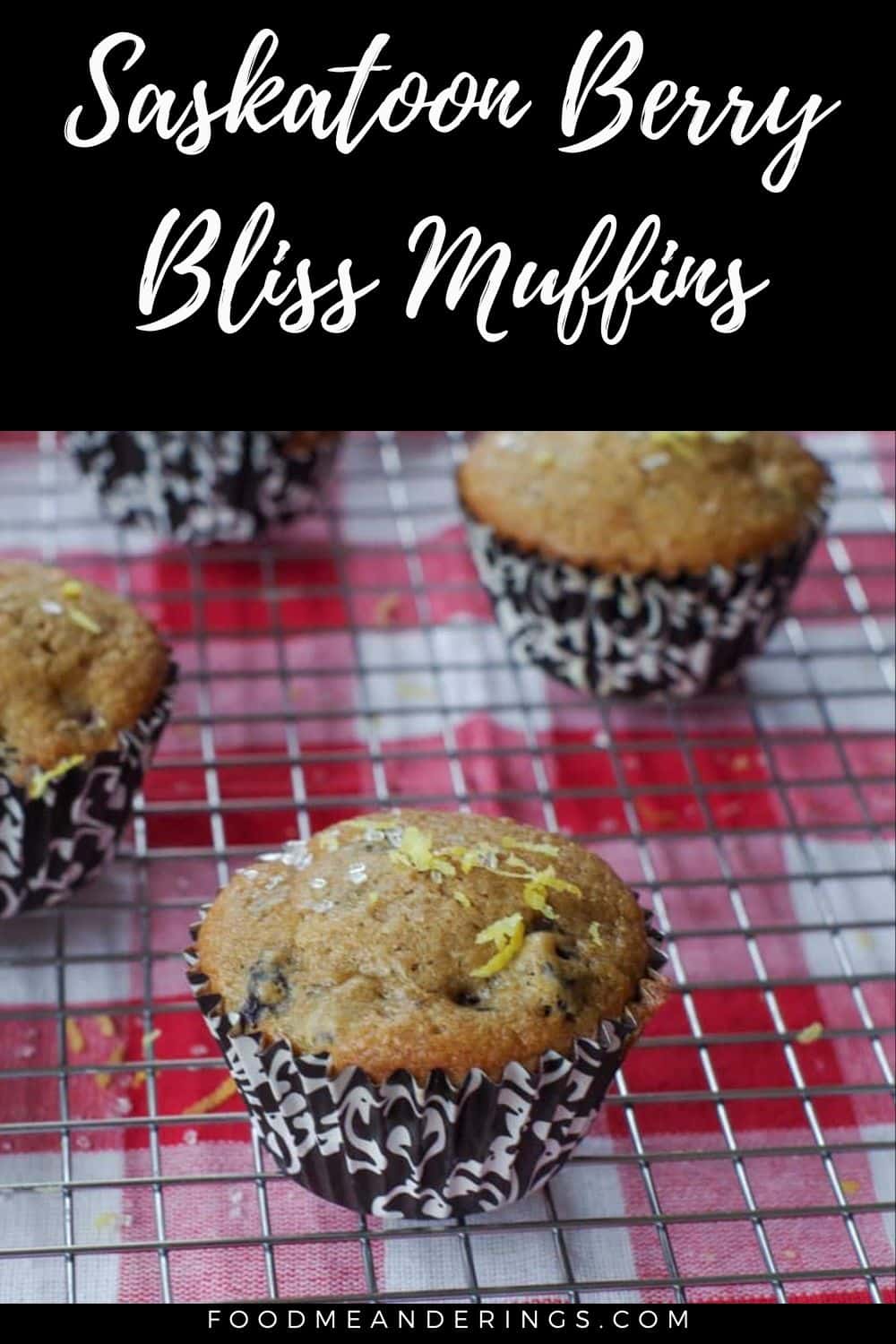 Saskatoon Berry Bliss Muffins - Food Meanderings