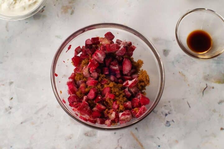 Chocolate Rhubarb Popsicles - Food Meanderings