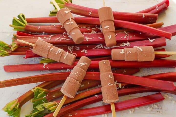 Chocolate Rhubarb Popsicles - Food Meanderings